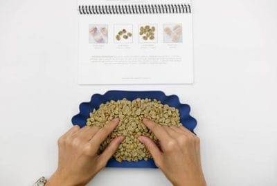 BREAKDOWN OF Q GRADER COURSE EXAM | Coffex Coffee Malaysia